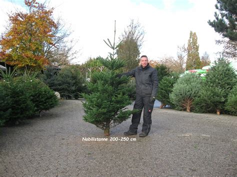 Aktuell Baumschule Schwendenmann