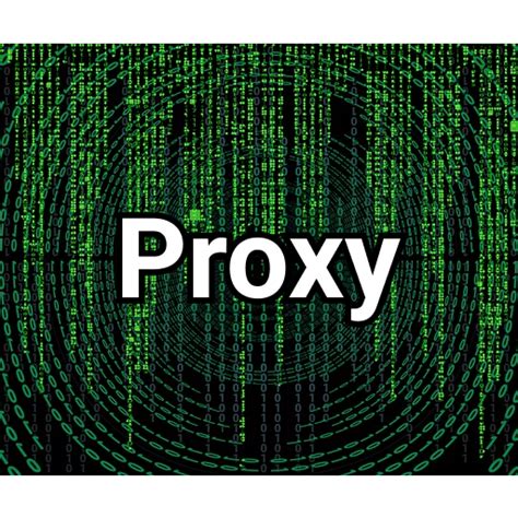 Proxy 서버의 이해와 활용 인터넷 보안 및 프라이버시 보장을 위한 필수 가이드