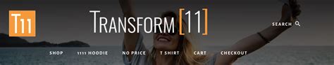 custom logo site title image search inline essence pro
