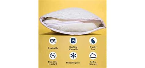 Best Memory Foam Pillow Case Pillow Click