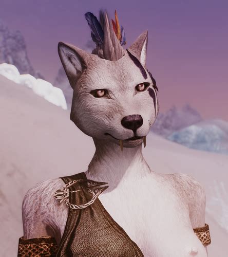 Flawns Racemenu Presets Other Loverslab