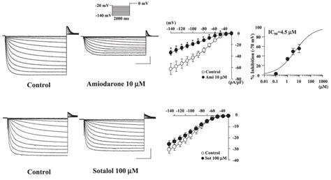 Inhibitory Effects Of Class Iii Drugs Amiodarone And Sotalol On Hcn4 Download Scientific
