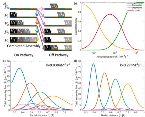 Self Organized Molecular Assembly Lines A Scheme Of The On Pathway