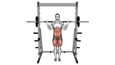 10 Lower Bicep Exercises For Sculpted Arms The Ultimate Workout Guide