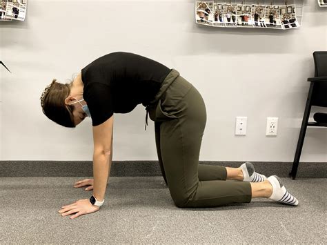 Seated Hip Hinge Exercise Sos Physiotherapy