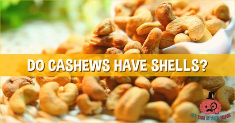 Where Do Cashews Come From