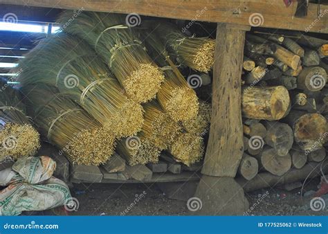 Bundle Of Dried Tiger Grass Stored Under The House For Broom Making