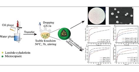 Preparation Characterization And Bioactivity Evaluation Of Lambda