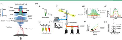 Figure 1 From Development Of A Microfluidic Flow Cytometer With A Uniform Optical Field Uni