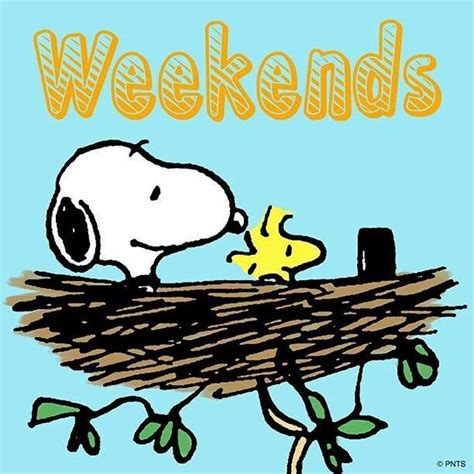 Pin By Mata Galak On Snoopy Peanuts Snoopy Pictures Snoopy And