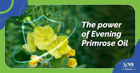 Wenuturelife Uns Universal Nutriscience Pvt Ltd