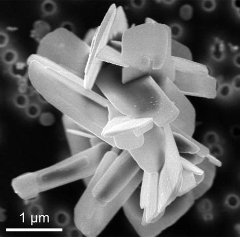 Lime And Clay Under A Microscope Iamronen
