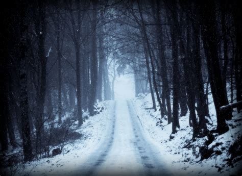 배경 화면 햇빛 숲 눈 겨울 목재 아침 독일 안개 분위기 통로 동결 미술 나무 날씨 시즌 방법 어둠 창조적 인 잊을 수없는 사진들 백금