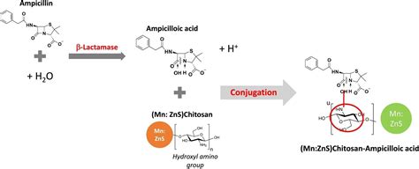 Advanced Biosensor For Detecting Ampicillin