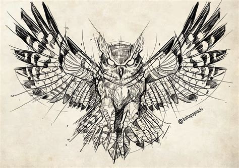 Coruja Sketch Tattoo Design