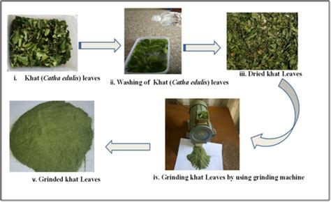 Green Synthesis Of Magnetite Nanoparticles Using Catha Edulis Plant