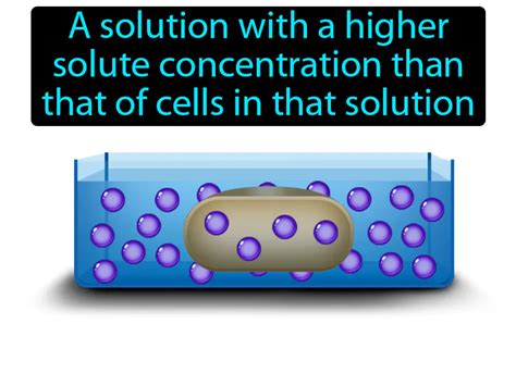 Hypertonic Solution Definition And Image Flippy Flashcards