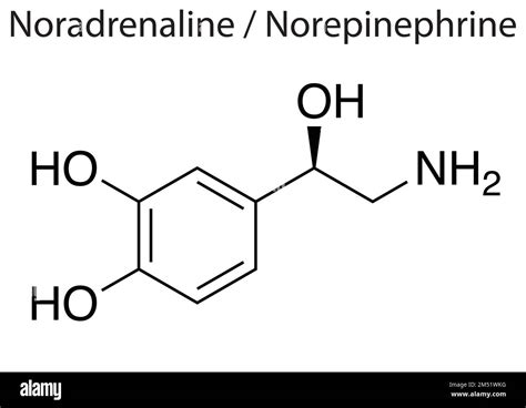 Norepinephrine Chemical Formula Neurotransmitters Types Function And