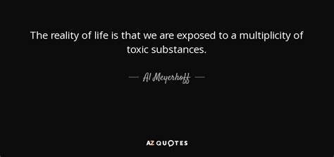 Quotes By Al Meyerhoff A Z Quotes