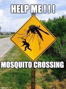 Giant Mosquito Memes Funny Giant Mosquito I Hate Mosquitoes Product