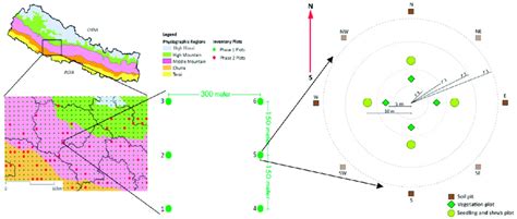 Data Collection From The Permanent Sample Plots Psps During Forest Download Scientific