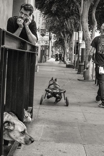 Los Angeles Street Suzanne Stein Photography
