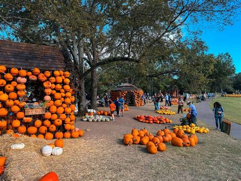 11 Must Do Things To Do In Tennessee In The Fall A 2026 Guide