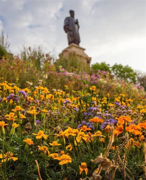 What Is The Difference Between The Csir Iisc And Iits In India Which Is Better For Doing A