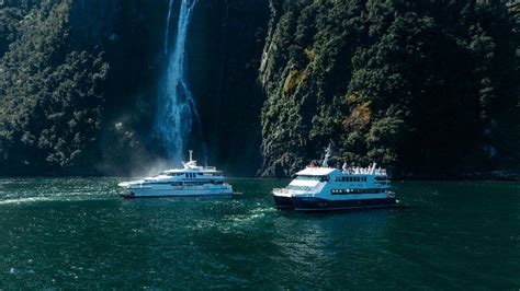 Eco Tours Fiordland Milford Sound Cruise Totally Worth It