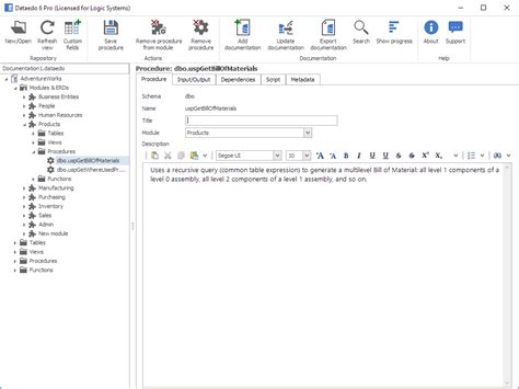 Documenting Stored Procedures And Functions Dataedo Documentation