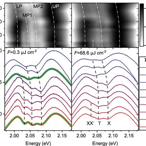 Temperature Dependent Coupling States A Contour Plots Of The Rc Spectra