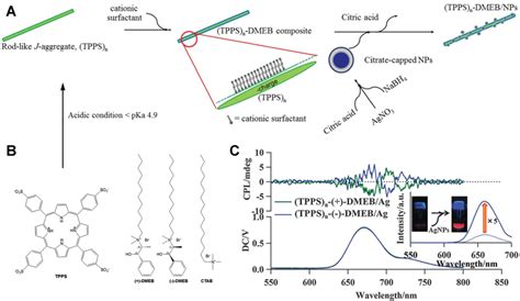 A Synthetic Scheme For Tppsn‐dmebag Nanocomposite B The Structure