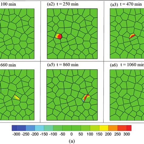 Geometry Model Of The Epithelial Monolayer Sheet Download Scientific