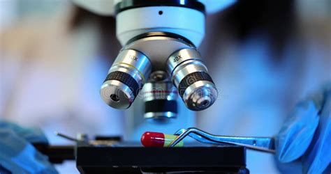 Microscopic Analysis Of A Red And Yellow Capsule Stock Footage Video