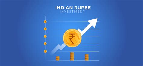 Roinet Solution Pvt Ltd