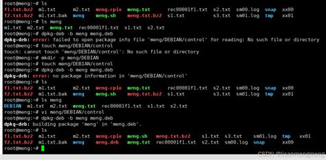 Linux 操作系统下的dpkg Deb命令介绍和使用案例 Csdn博客