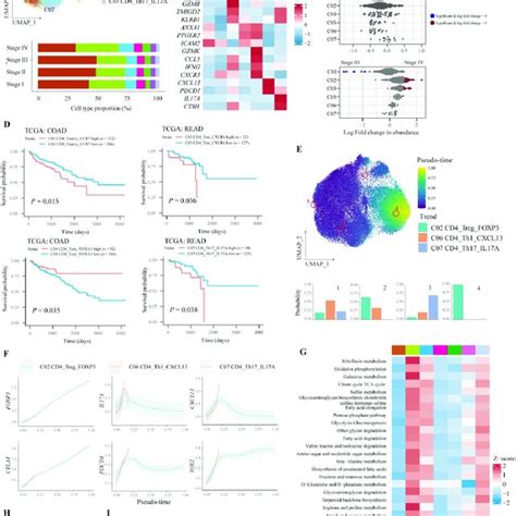 Characterization Of Malignant Epithelial Cells In Crc Tissues With