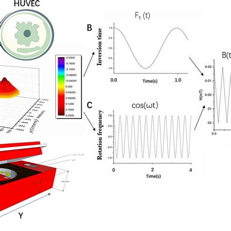 characterization of rotating magnetic field and experimental setup a