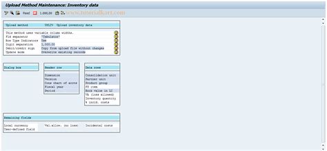 CX3F6 SAP Tcode Method For Uploading Inventory Data