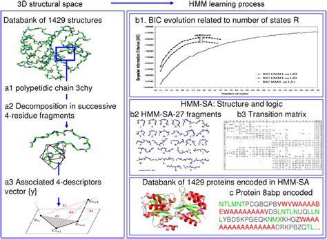 Figure From A Hidden Markov Model Applied To The Protein D Structure Analysis Semantic Scholar
