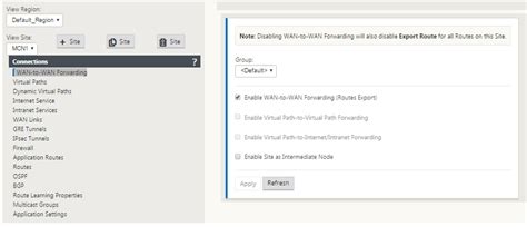 SD WAN Overlay Routing Citrix SD WAN