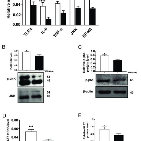 The Mrna And Protein Expression Level Of Critical Gene In Inflammation Download Scientific