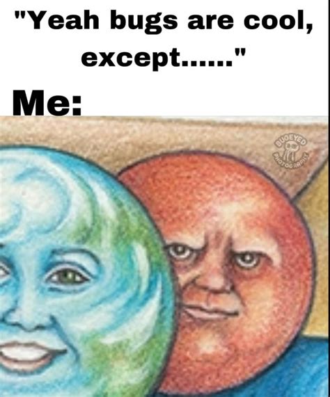 A Small Collection Of Bug Memes Rentomology