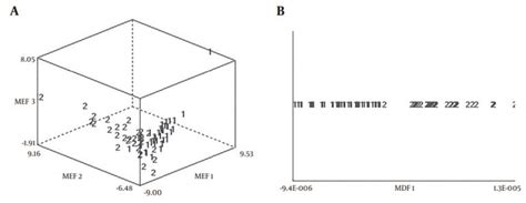 Diagnosis Of Breast Tumors With Sonographic Texture Analysis Using Run