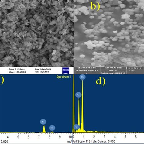 A Fe Sem Nio B Fe Sem Nio Go C E Dax Nio D E Dax Nio Rgo Download Scientific Diagram