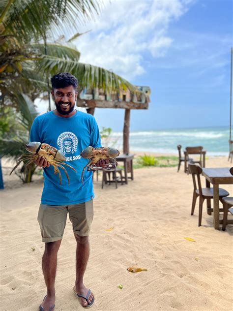 Chethaka Wijesekera On Linkedin Zephyr Srilanka