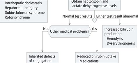 Gilberts Syndrome Elevation Of Serum Bilirubin Healthy Food Near Me