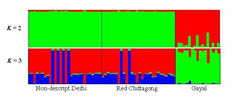 Genetic Structure Of Three Cattle Populations Inferred Using Structure