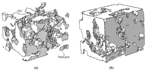 microstructure reconstruction and multiphysics dynamic distribution simulation of the catalyst