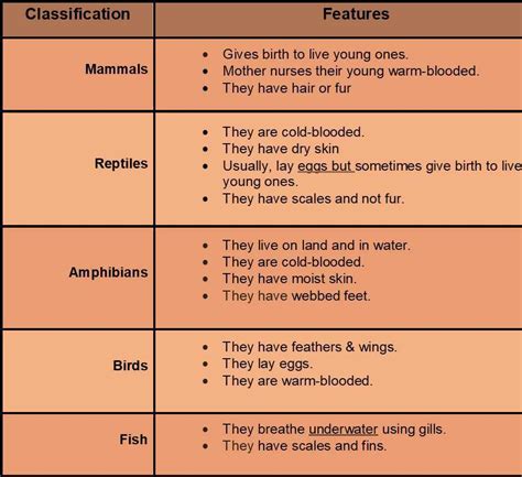Animals Lesson For Class 4